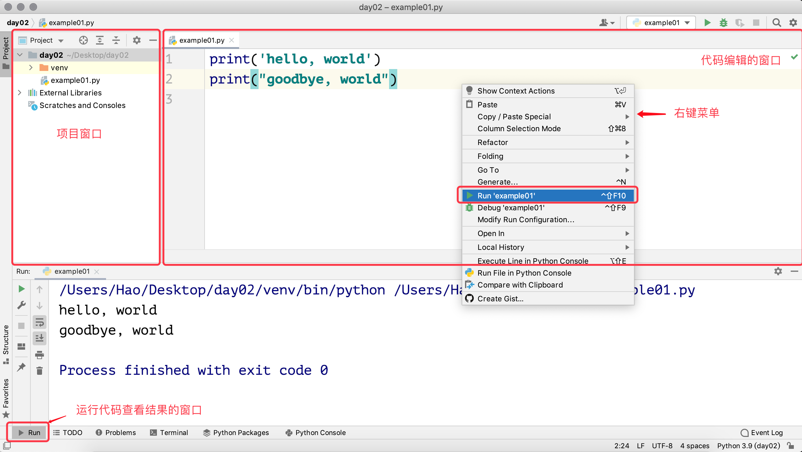 第02课：第一个Python程序 | 暴走の海鸽